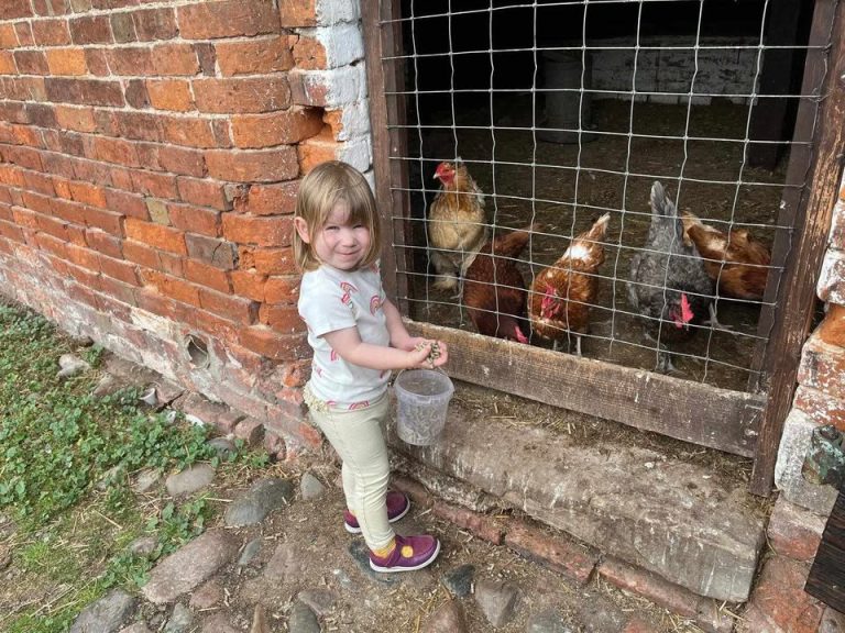 Home - Home Farm Attingham